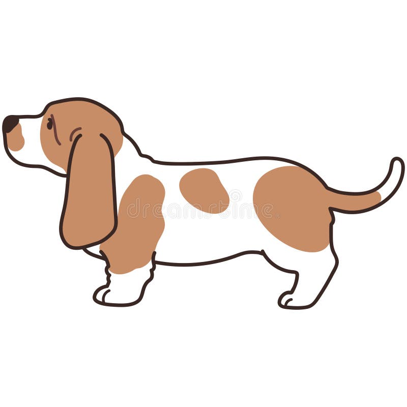 Simple and Cute Illustration of Lemon and White Basset Hound in Side ...