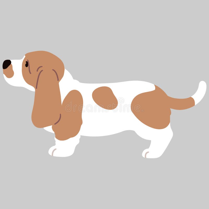 Simple and Cute Illustration of Lemon and White Basset Hound in Side ...