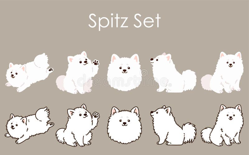 Japanese Spitz Stock Illustrations – 332 Japanese Spitz Stock ...