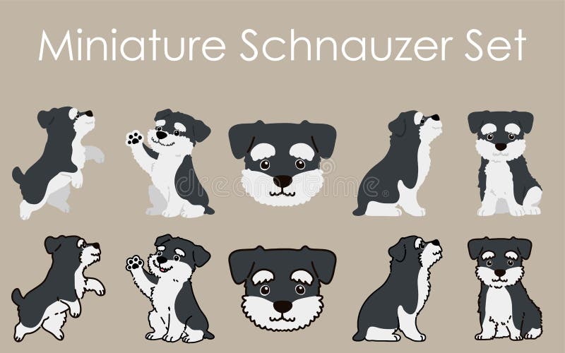 Simple and Cute Miniature Schnauzer Illustrations Set Stock Vector ...