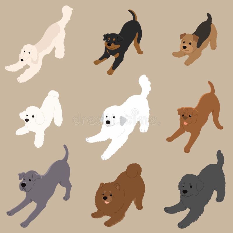 Simple and Cute Playful Dogs Illustrations Set Flat Colored Stock ...