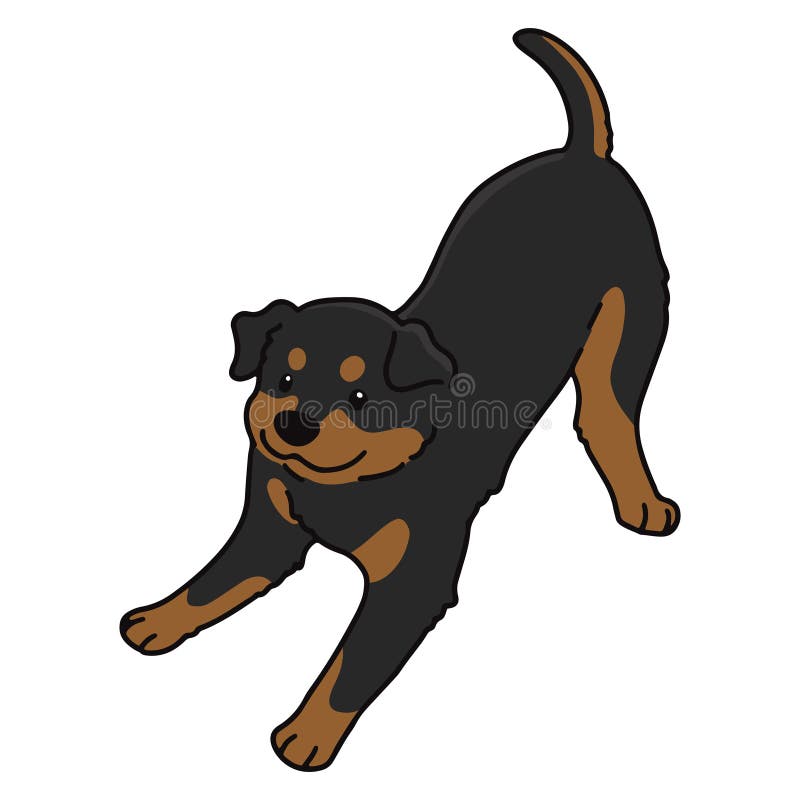 Simple and Cute Playful Rottweiler Illustration Stock Vector ...