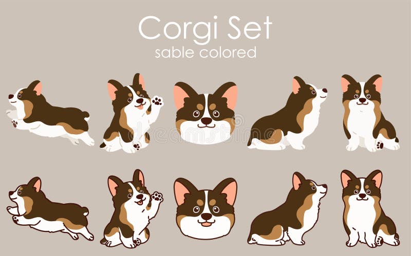 Sable Corgi Dog Stock Illustrations – 58 Sable Corgi Dog Stock ...