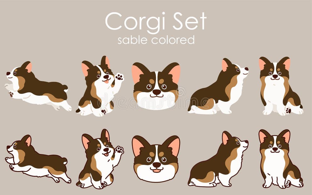 Simple and Cute Sable Colored Corgi Dog Illustrations Set Stock Vector ...