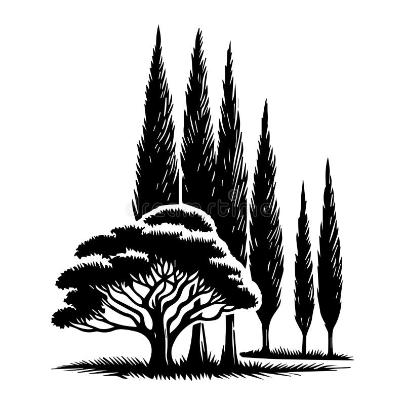 Cypress Trees Vector Icon Vintage Retro Logo Illustration Stock Vector ...