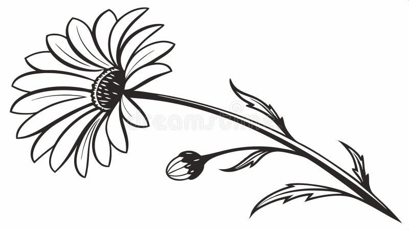 Simple Daisy Flower Design Element for Botanical and Spring Themes ...
