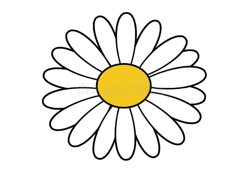 Simple Daisy Flower Illustration Stock Illustration - Illustration of ...