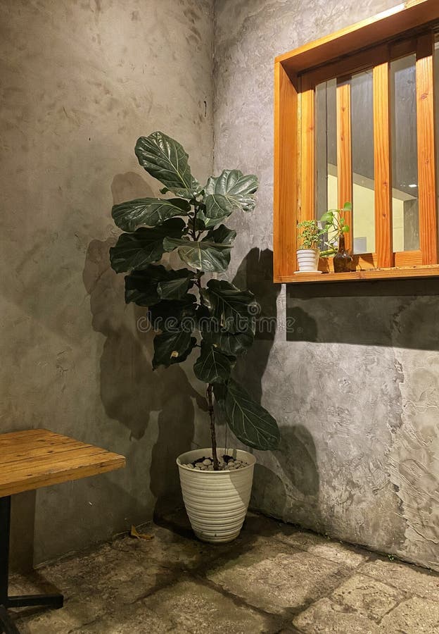 Simple Decoration in the House Stock Photo - Image of flower, house ...