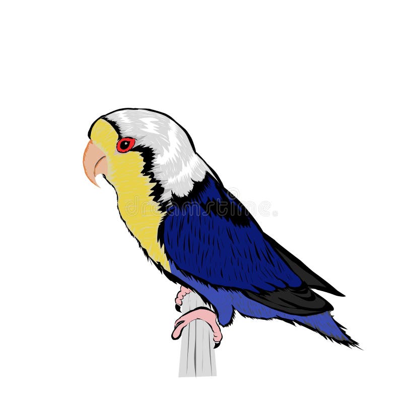 Simple Parrot Logo Design Vector Stock Illustration - Illustration of ...