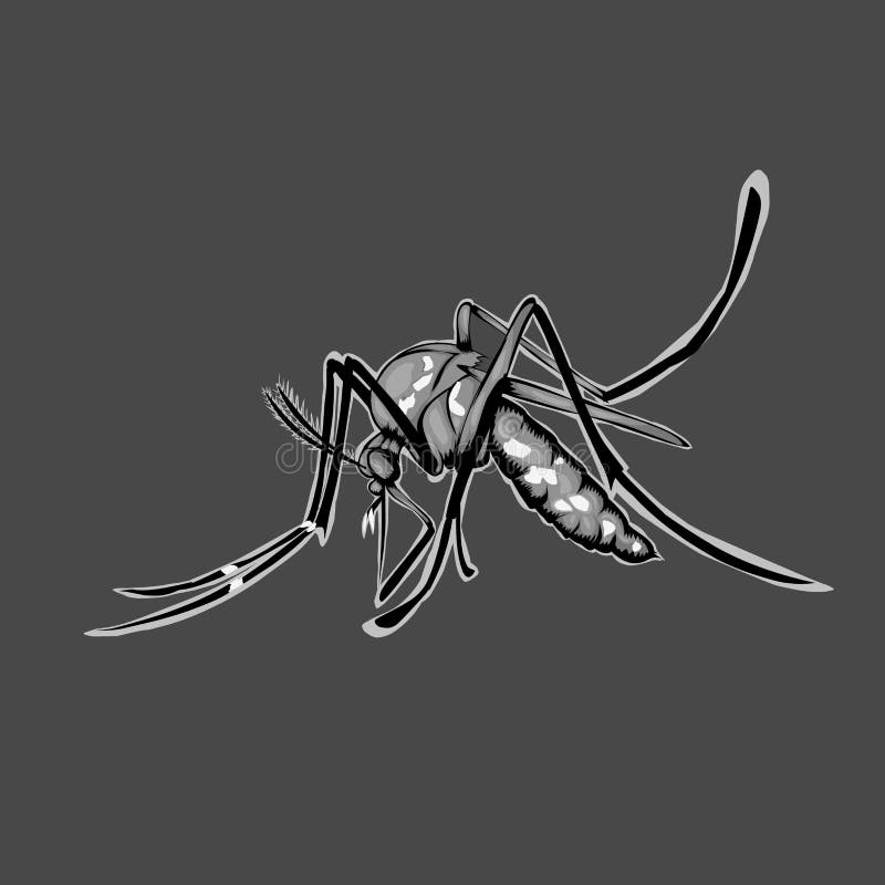 Simple Design of Illustration Mosquito Stock Illustration ...