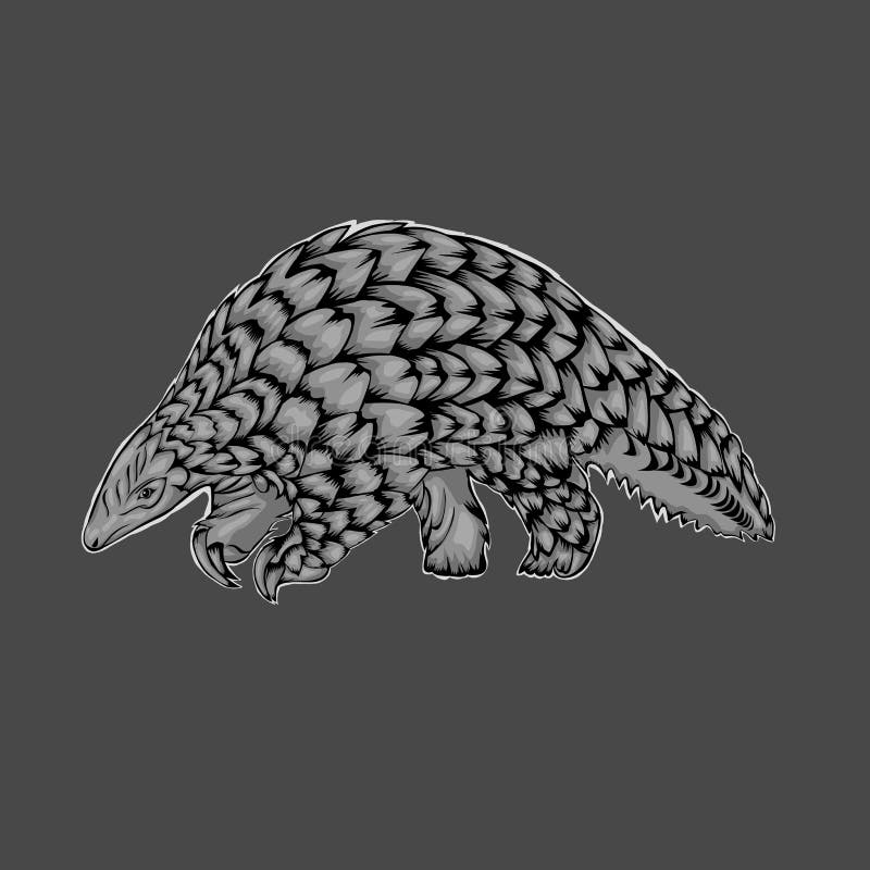Pangolin Design Stock Illustrations – 731 Pangolin Design Stock ...