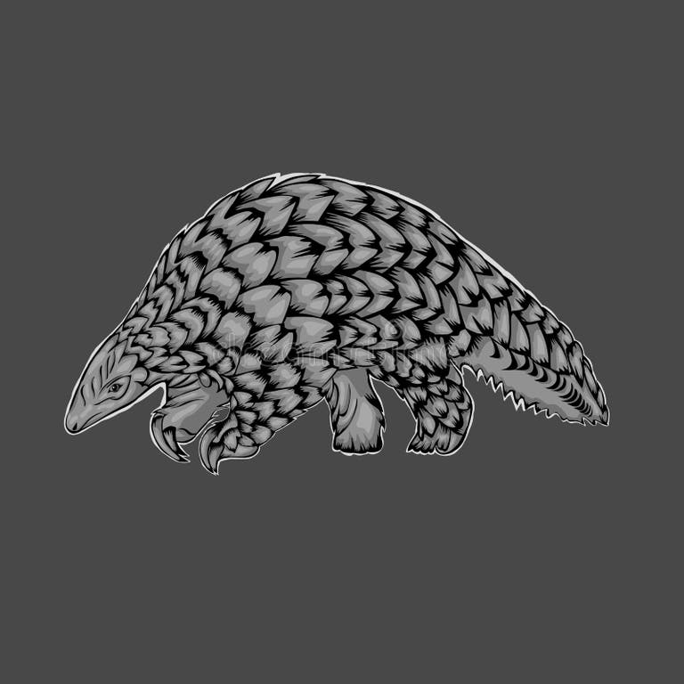 Simple Pangolin Stock Illustrations – 65 Simple Pangolin Stock ...