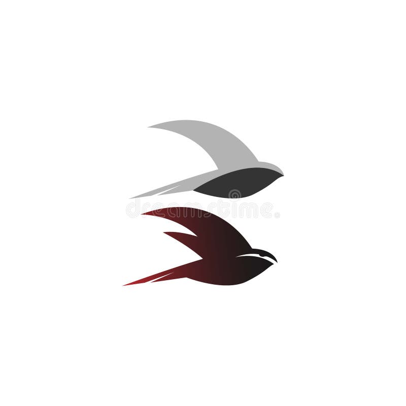 Simple Design of Swift Bird Logo Icon Template Vector Illustration ...