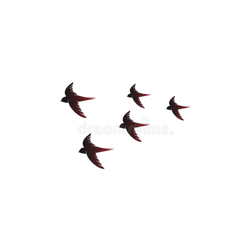 Simple Design of Swift Bird Logo Icon Template Vector Illustration ...