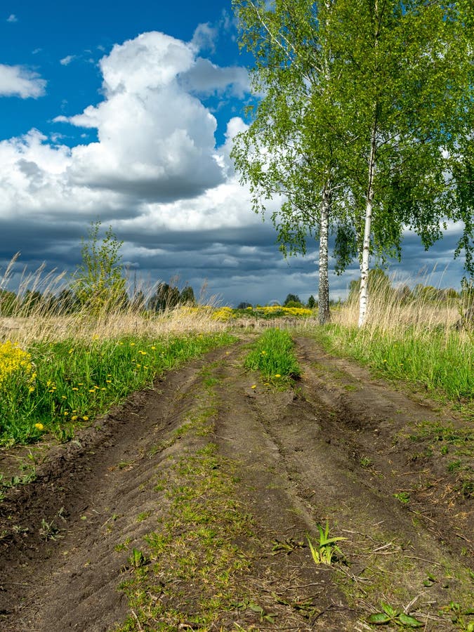 A Simple Dirt Road, Clay New and Old Grass, Spring Landscape Stock ...