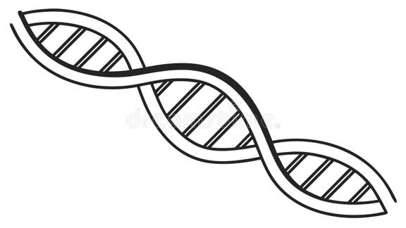 Simple DNA Helix, Genetic Code, Biological Structure, Vector Design ...