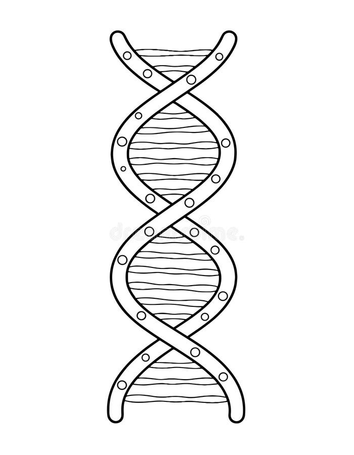 Simple DNA Helix Structure Medical Science Symbol Stock Illustration ...