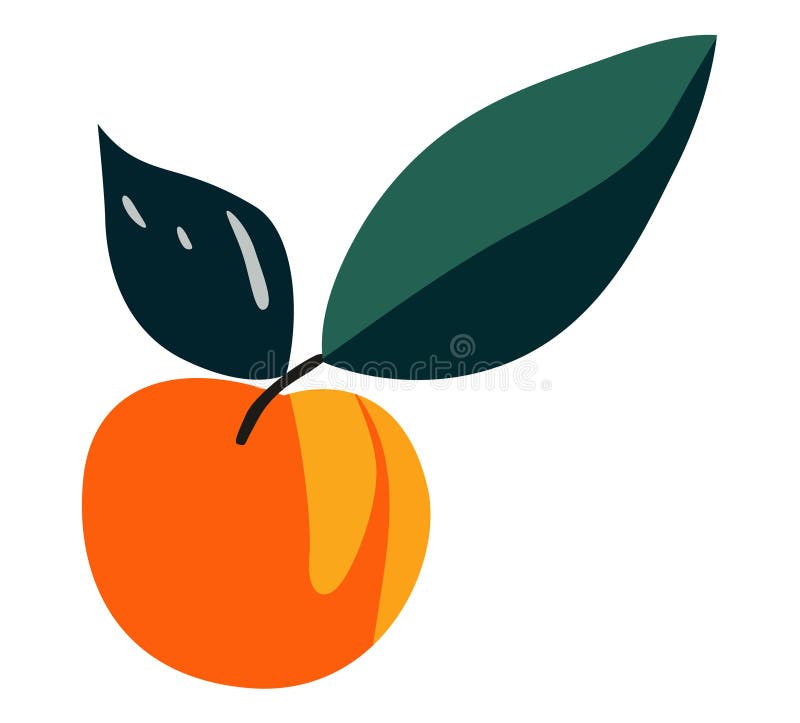 Simple Doodle Apple Fruit on White. Vector Illustration Stock Vector ...