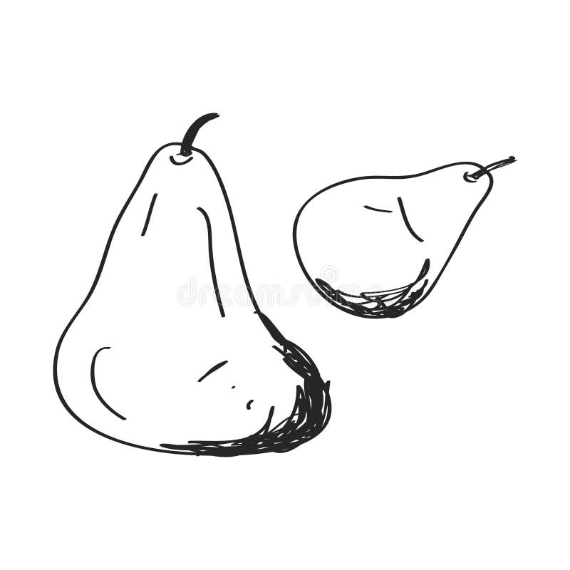 Simple doodle of a pear stock vector. Illustration of drawing - 57790369