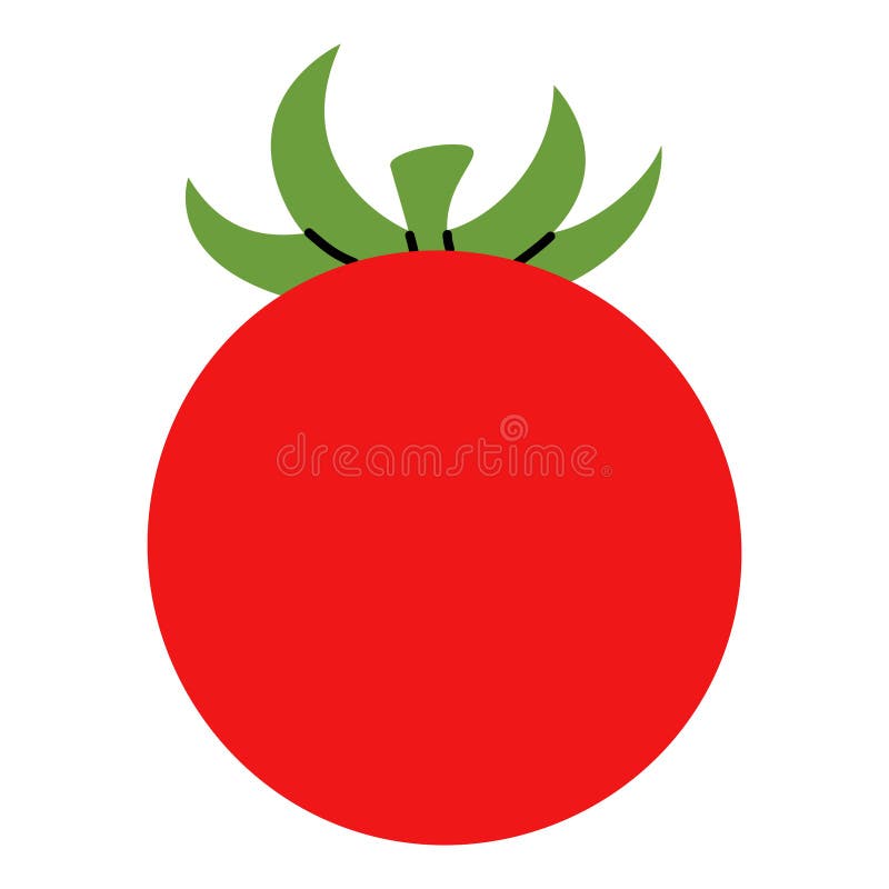 Simple Drawing of Whole Tomato in Hand Drawn Minimalistic Style Stock ...