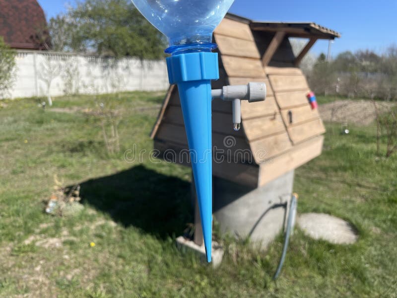 Simple Drip Irrigation System Using Plastic Bottles in Greenhouse Stock ...