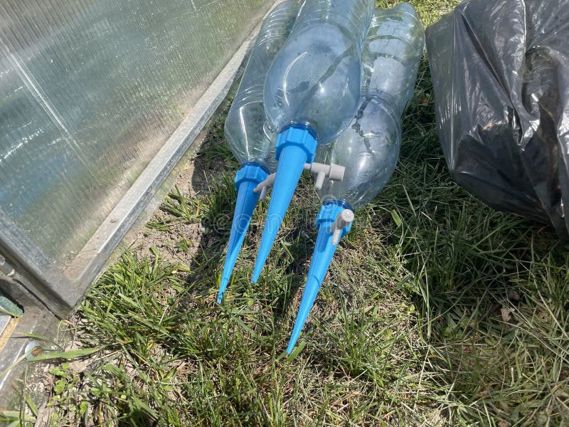 Simple Drip Irrigation System Using Plastic Bottles in Greenhouse Stock ...