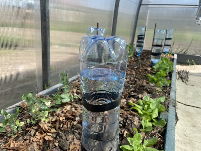 Homemade Drip Irrigation System with a Recycled Plastic Bottle and ...