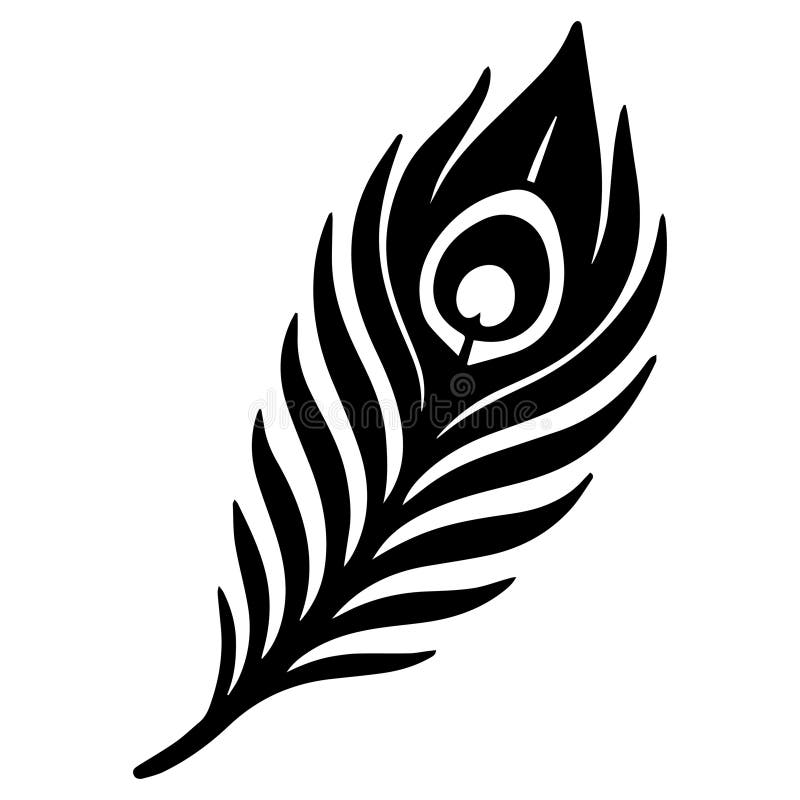 Stylized Black and White Peacock Feather Illustration Stock Vector ...