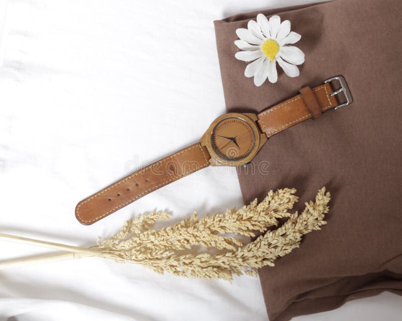 Simple and Elegant Watch with a Soft Color. Stock Image - Image of ...