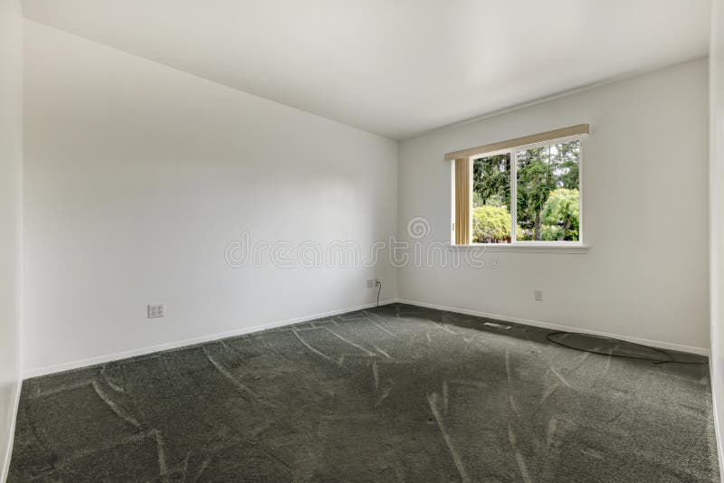 Simple Empty Room with Lots of Space and Carpet. Stock Photo - Image of ...