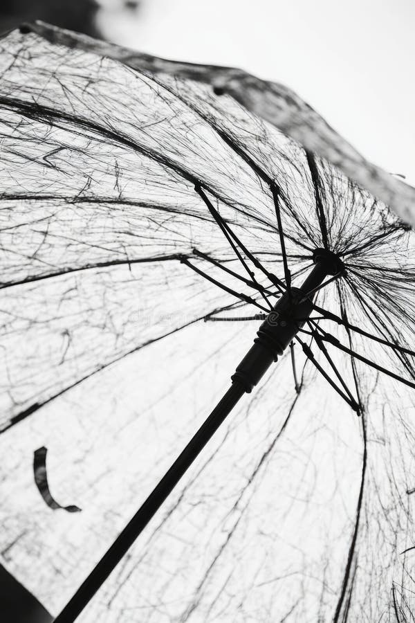 A Simple, Everyday Scene with an Open Umbrella Stock Image - Image of stormy, monochrome: 371210011