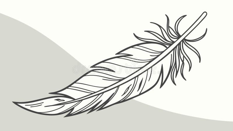Simple Feather Drawing, Delicate Natural Element, Vector Design ...