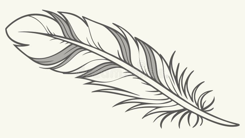 Simple Feather Illustration, Lightness and Writing, Vector Design ...