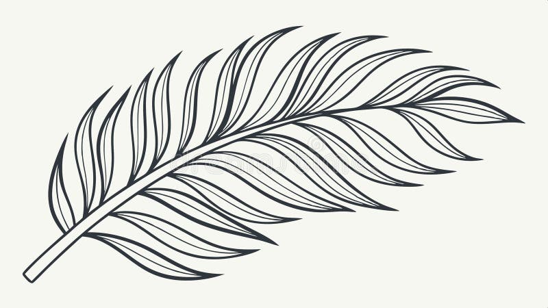Feather Outline Boho stock vector. Illustration of boho - 299733247
