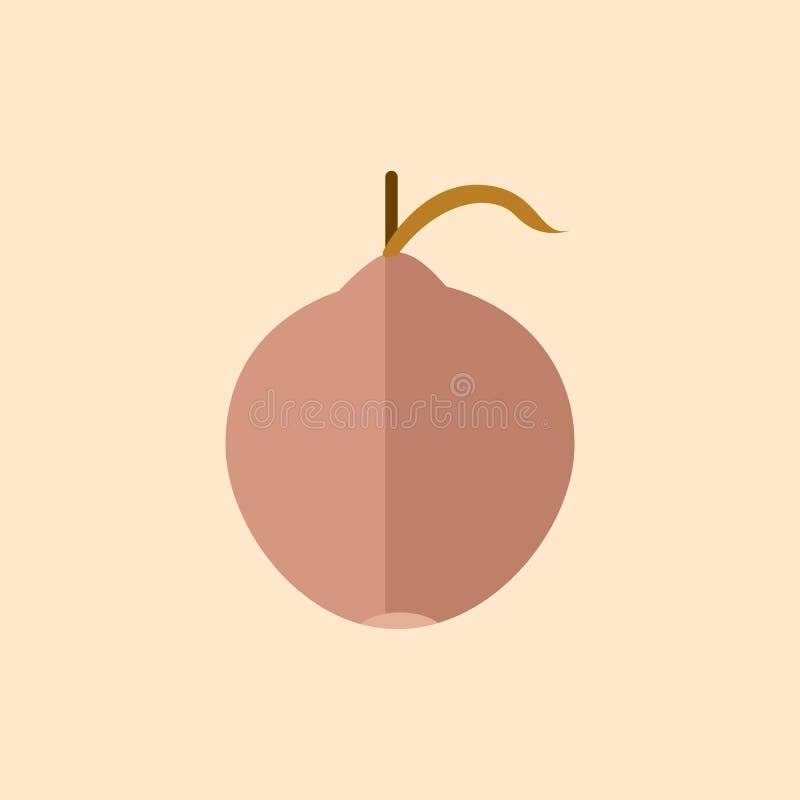 Simple Flat Coconut Vector Illustration Stock Vector - Illustration of ...