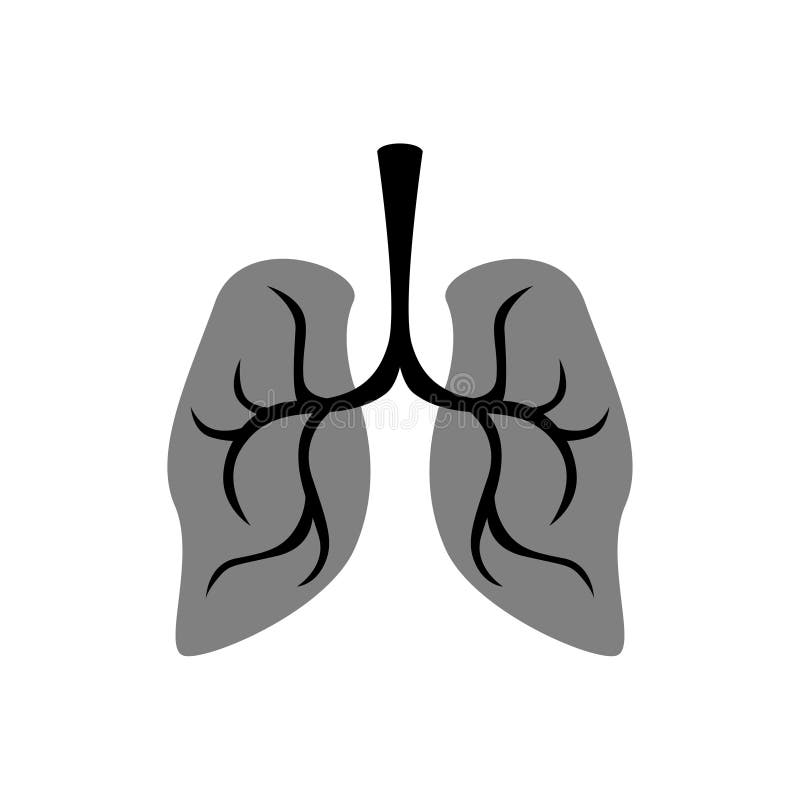 Simple, Flat Illustration of the Lungs. Illustration for Icons, Buttons ...