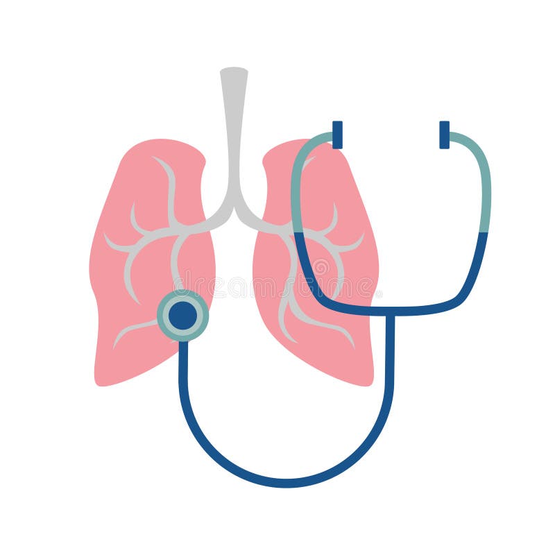 Simple Flat Illustration Of The Lungs And A Stethoscope Stock Vector