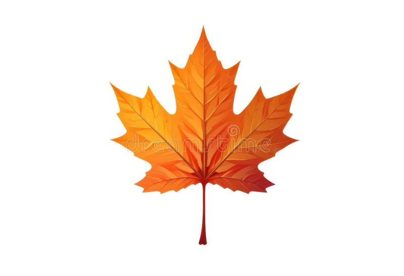 Simple Flat Maple Leaf Isolated with Clean, Modern Style Stock ...