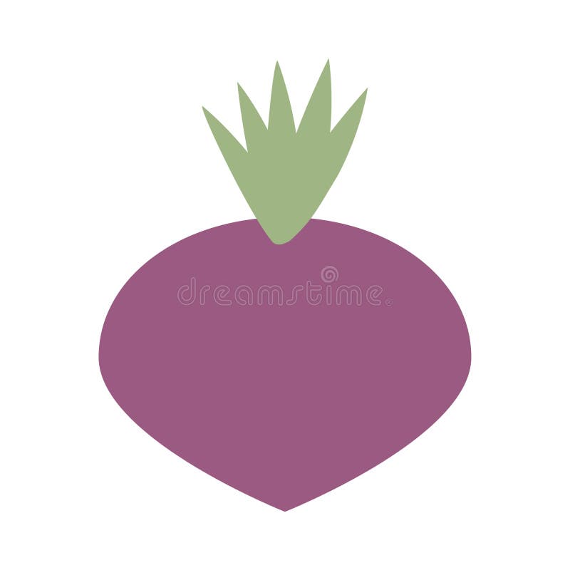 Simple Flat-style Illustration of Beets Stock Vector - Illustration of restaurant, plant: 254645219