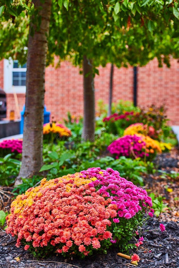 Simple Flower Garden with Rows of Trees and Brick Wall Behind Stock ...