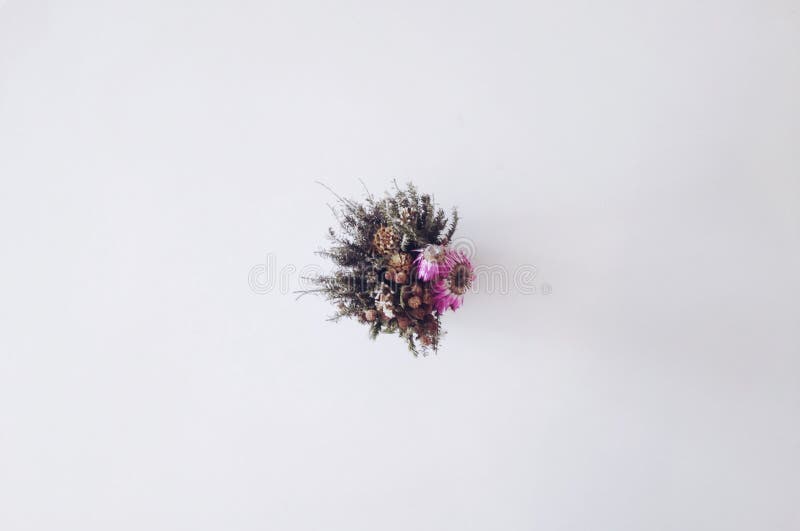 Simple Flower of a Small Pot on the White Table. Stock Image - Image of ...