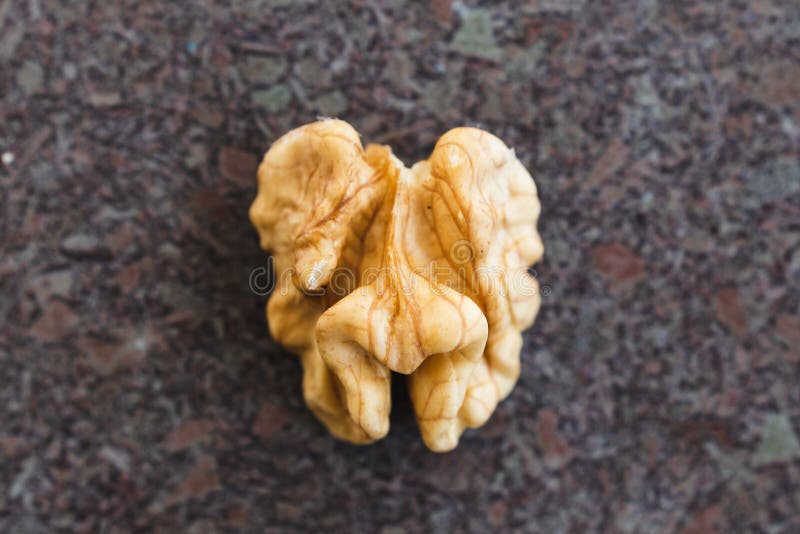Close-up of Walnut Kernel on Kitchen Counter Stock Image - Image of ...