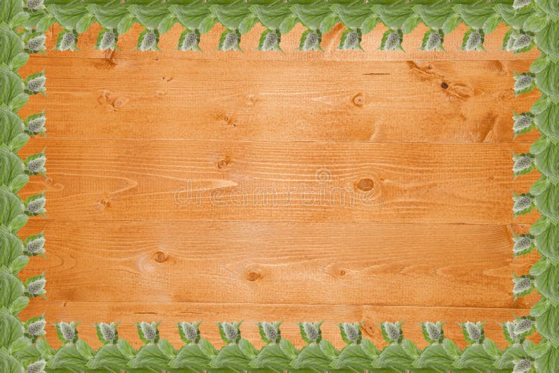 Simple Frame of Mint Leaves Isolated on White Background Stock Image ...