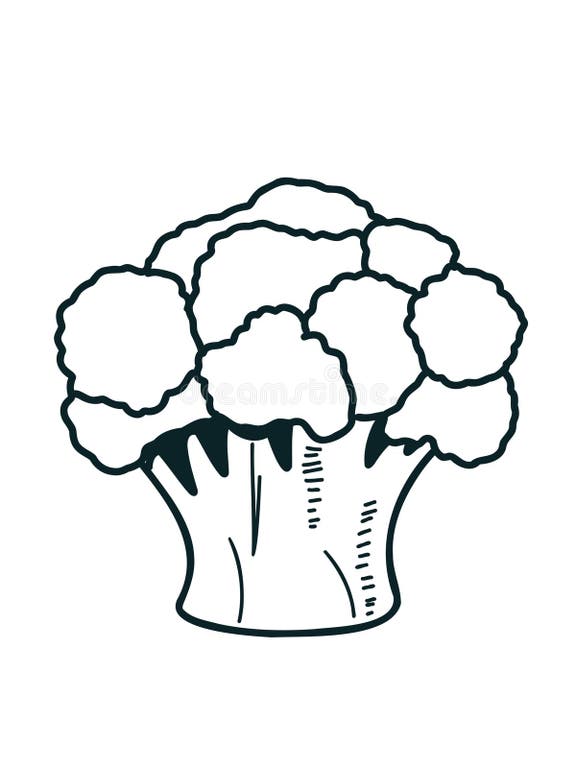 Simple and Fun Broccoli Doodle, Vector Art Stock Vector - Illustration ...