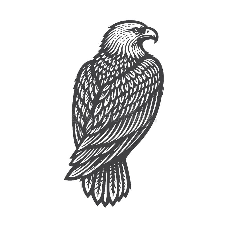 Eagle Vector Design Stock Illustrations – 88,315 Eagle Vector Design Stock Illustrations ...