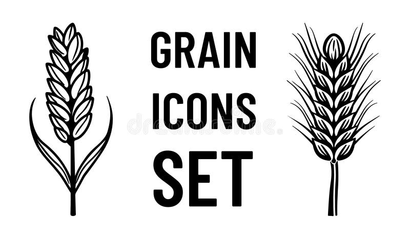 Grain Icons - Vector Illustration - Isolated on White Stock Vector ...