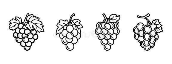 Simple Grapes Icons Set - Different Vector Illustrations Isolated on ...