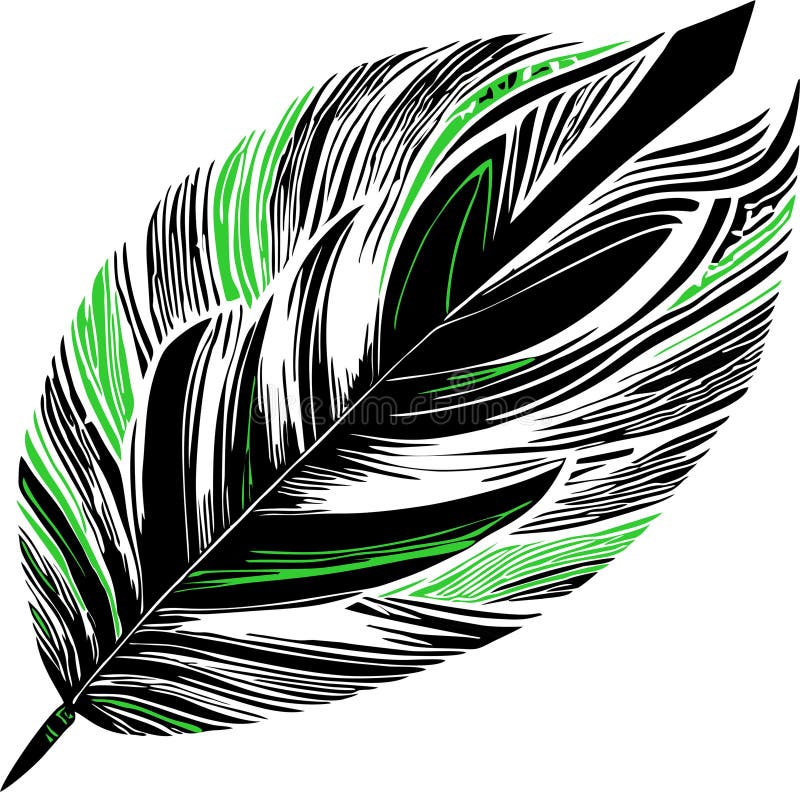 Simple Graphic Drawing Black and Green Bird Feather, Sketch Stock ...