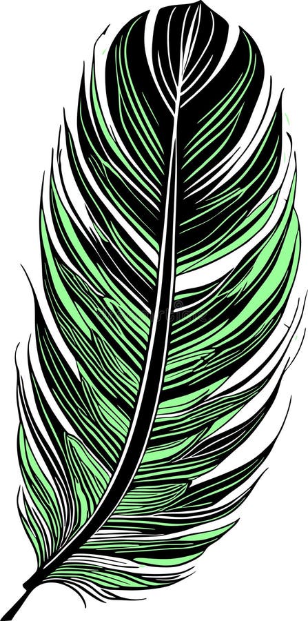 Simple Graphic Drawing Black and Green Bird Feather, Sketch Stock ...