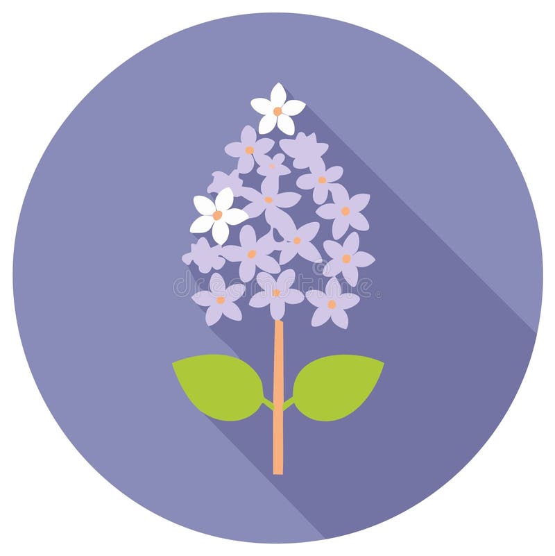 Simple Graphic Illustration of Spring Lilac Flower with Shadow in ...